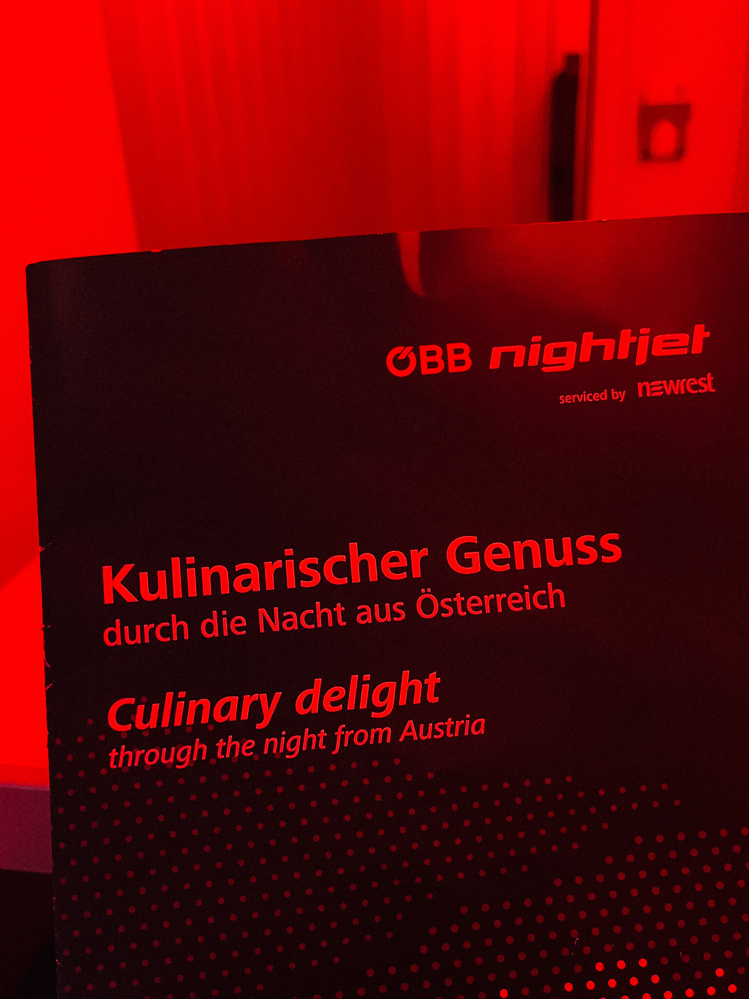 Schlafen auf Schienen: Eine Nacht in der Mini-Cabin im ÖBB Nightjet - Freundin von Welt